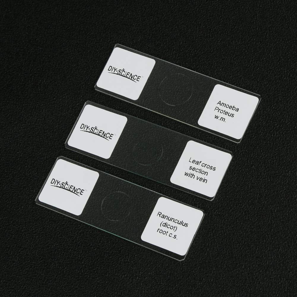 Prepared Apologia Biology Microscope Slides Set, Pack of 16pcs Specimens Specifically for Biology Course (Apologia Slides)