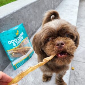 hotspot pets Beef Tendon Chews for Dogs (10 Pack) - 8 Inch All Natural, Free-Range, Grass-Fed Premium USDA Gambrol Beef Tendon Stick Treats - Made in USA