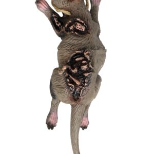 Halloween Decor Haning Rat Prop Realistic Looking Spooky Mice Rats Fake Dead Mouse Terrible Prank Props Cats Dogs Interesting Toys Halloween Party Favors Vampire Rats for Haunted House Decoration