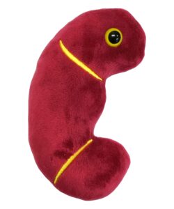 giantmicrobes kidney plush, kidney stuffed animal, kidney transplant gifts, kidney donor gifts, kidney pillow, urology gifts, nephrology gifts, dialysis nurse gifts, gifts for urologist, kidney toy