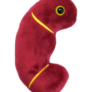 Giantmicrobes Kidney Plush, Kidney Stuffed Animal, Kidney Transplant Gifts, Kidney Donor Gifts, Kidney Pillow, Urology Gifts, Nephrology Gifts, Dialysis Nurse Gifts, Gifts For Urologist, Kidney Toy