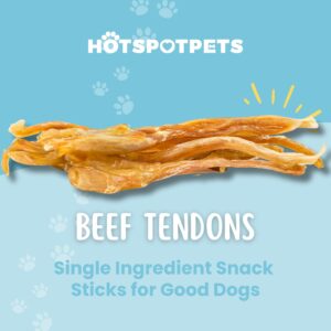 hotspot pets Beef Tendon Chews for Dogs (10 Pack) - 8 Inch All Natural, Free-Range, Grass-Fed Premium USDA Gambrol Beef Tendon Stick Treats - Made in USA