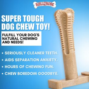 Bullibone SuperBrush: Dog Teeth Cleaning Brushing Toothbrush Stick - Long Lasting Nylon Apple Cinnamon Chew Toy for Oral Care and Dental Health