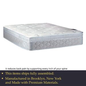 Nutan 10-Inch Plush Foam Encased Hybrid Eurotop Innerspring Mattress and 8" Wood Boxspring/Foundation Set, Twin