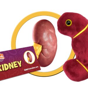 Giantmicrobes Kidney Plush, Kidney Stuffed Animal, Kidney Transplant Gifts, Kidney Donor Gifts, Kidney Pillow, Urology Gifts, Nephrology Gifts, Dialysis Nurse Gifts, Gifts For Urologist, Kidney Toy