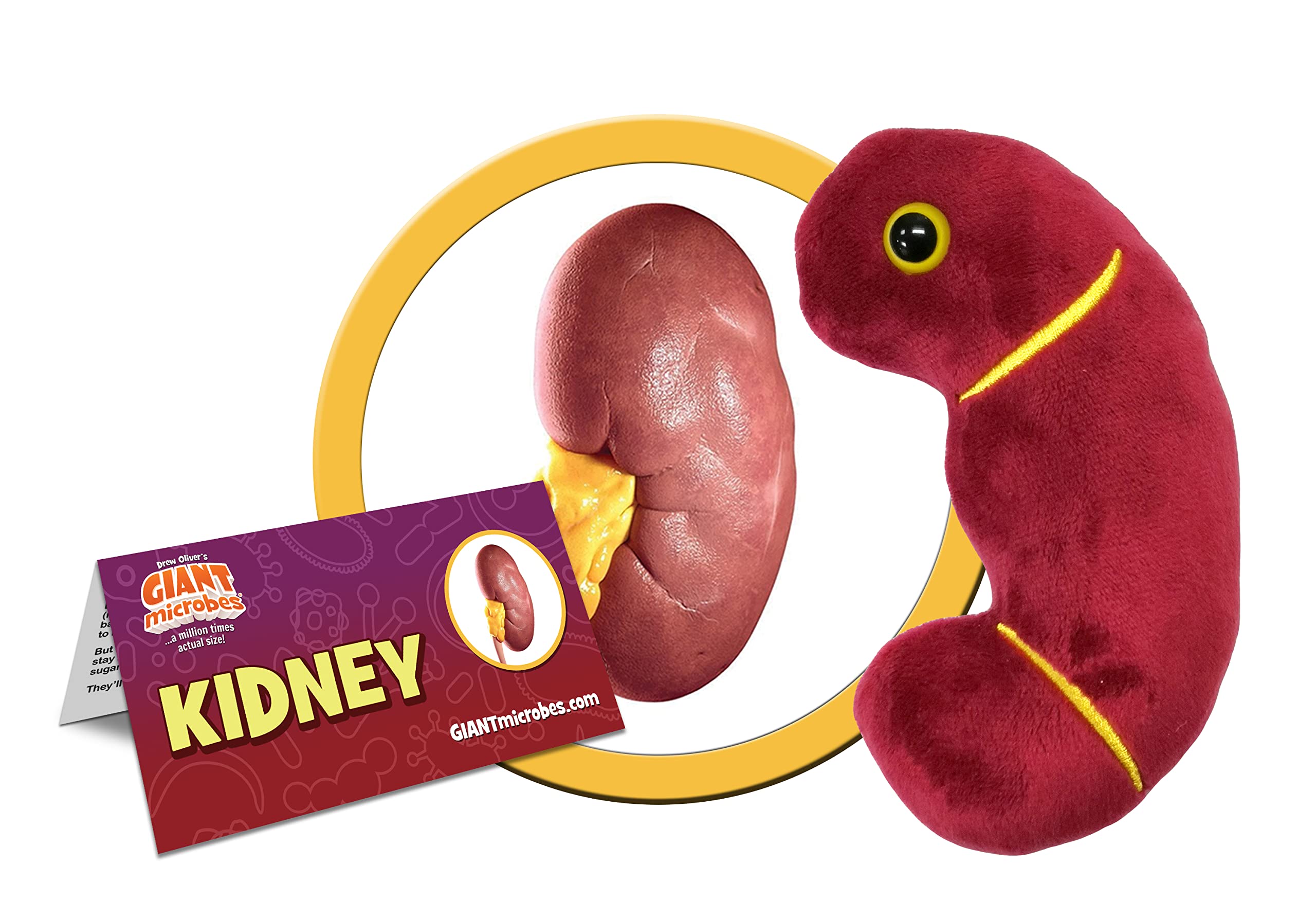 Giantmicrobes Kidney Plush, Kidney Stuffed Animal, Kidney Transplant Gifts, Kidney Donor Gifts, Kidney Pillow, Urology Gifts, Nephrology Gifts, Dialysis Nurse Gifts, Gifts For Urologist, Kidney Toy