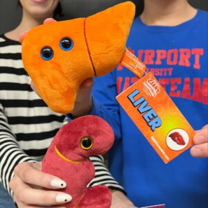 Giantmicrobes Kidney Plush, Kidney Stuffed Animal, Kidney Transplant Gifts, Kidney Donor Gifts, Kidney Pillow, Urology Gifts, Nephrology Gifts, Dialysis Nurse Gifts, Gifts For Urologist, Kidney Toy