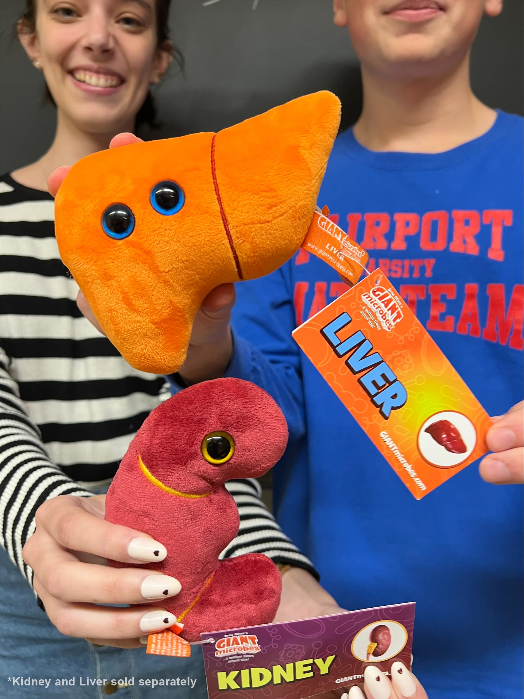 Giantmicrobes Kidney Plush, Kidney Stuffed Animal, Kidney Transplant Gifts, Kidney Donor Gifts, Kidney Pillow, Urology Gifts, Nephrology Gifts, Dialysis Nurse Gifts, Gifts For Urologist, Kidney Toy