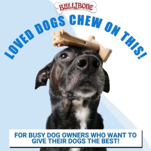 Bullibone SuperBrush: Dog Teeth Cleaning Brushing Toothbrush Stick - Long Lasting Nylon Apple Cinnamon Chew Toy for Oral Care and Dental Health