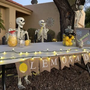 LaVenty Burlap Lemonade Banner for Lemonade Stand Decorations Lemonade Sign Lemon Party Decor, Lemon Garland Summer Lemon Themed Bridal Shower