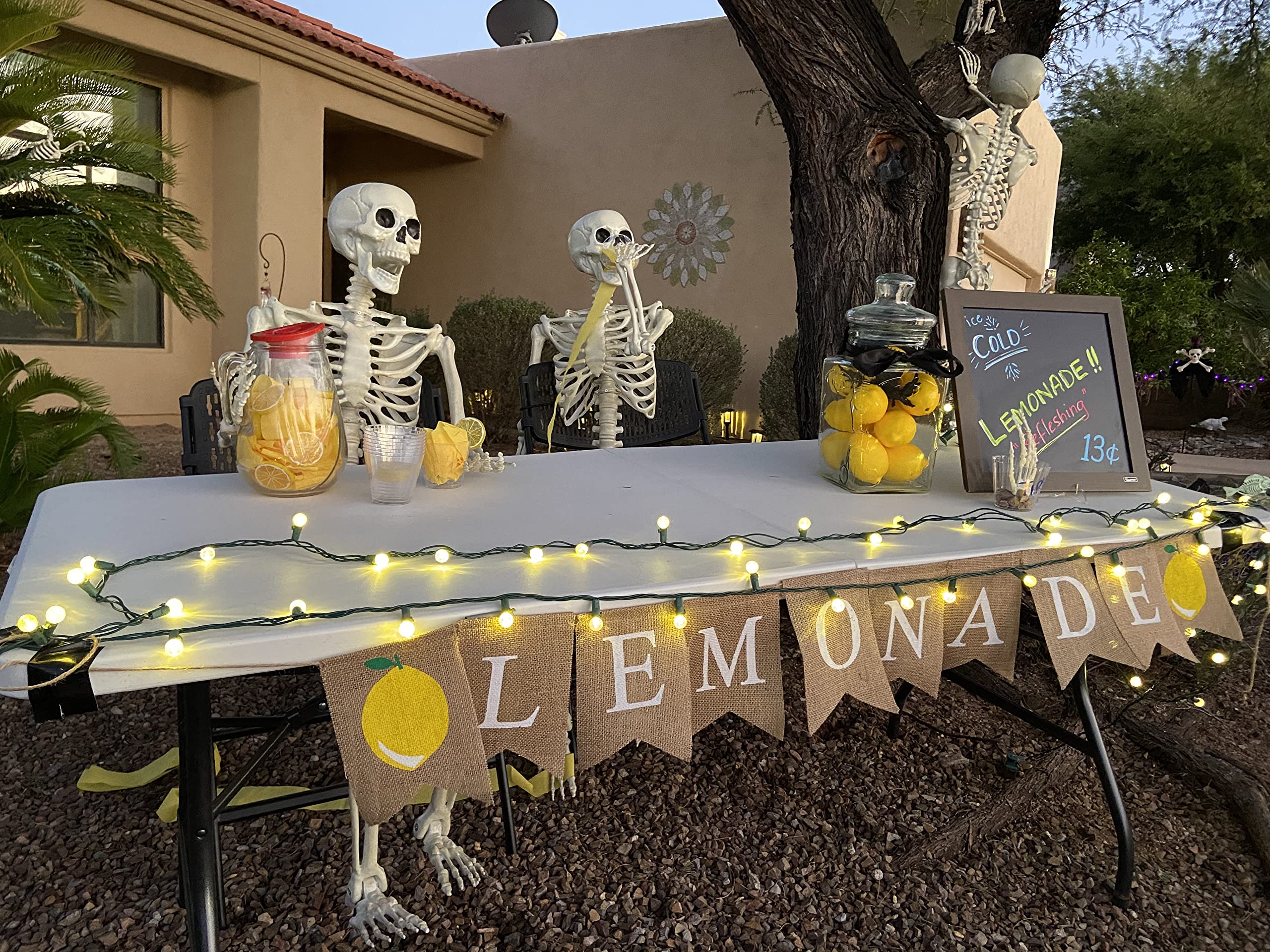 LaVenty Burlap Lemonade Banner for Lemonade Stand Decorations Lemonade Sign Lemon Party Decor, Lemon Garland Summer Lemon Themed Bridal Shower