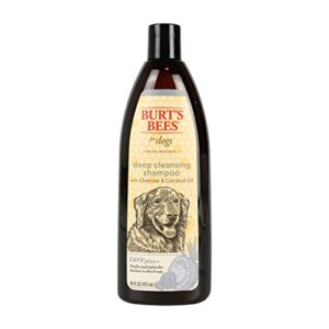 burt's bees for pets care plus+ naturally derived deep cleansing charcoal & coconut oil shampoo - dog shampoo to naturally derivedly purify and replenish dog's skin & coat - made in usa, 16 oz