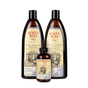 Burt's Bees for Pets Care Plus+ Naturally Derived Deep Cleansing Charcoal & Coconut Oil Shampoo - Dog Shampoo to Naturally Derivedly Purify and Replenish Dog's Skin & Coat - Made in USA, 16 Oz