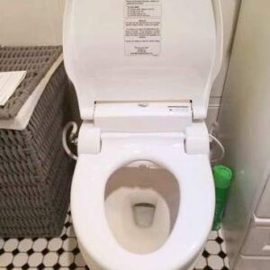 Cascade 3000 Bidet Seat (White, Elongated, Large Remote)