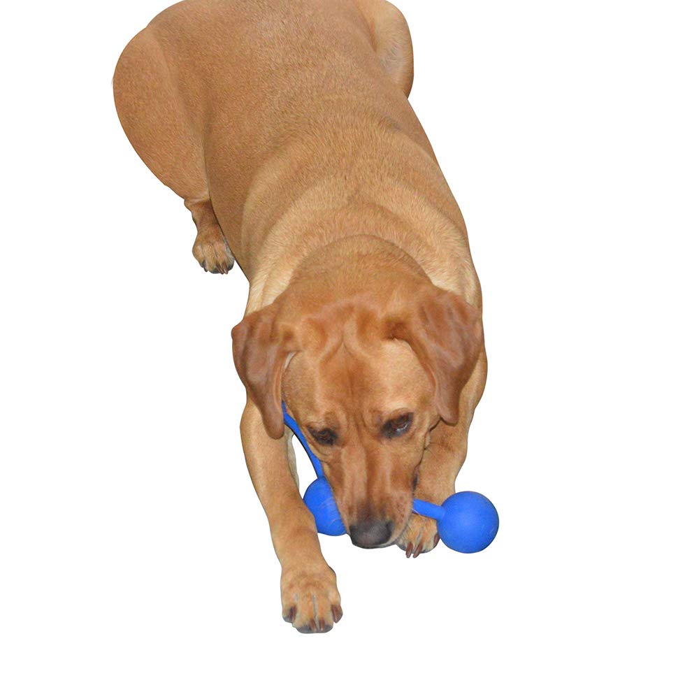 Sonnyridge 3 Ball Dog Toy - Your Puppy, Small Or Large Dog Will Love It. - 100% Non-Toxic Chew Dog Toy - Best for The Aggressive Dog Chewers - Durable and Tough - Promotes Dental and