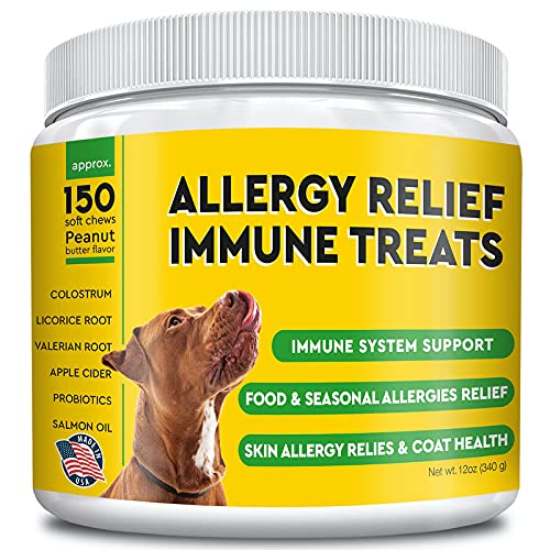 PAWFECTCHEW Allergy Relief for Dogs (150 Immune Chews) - Immunity Supplement with Omega 3 Salmon Fish Oil, Colostrum, Digestive Prebiotics & Probiotics - Anti Itch & Skin Hot Spots - Made in USA