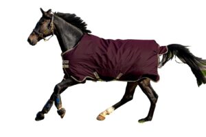 horseware amigo hero ripstop sheet lite 0g fig/navy/tan 75