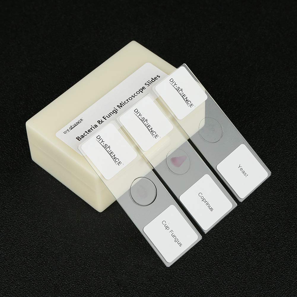 Prepared Bacteria and Fungi Microscope Slide Set, 9pcs Slides for Biology Teacher Students Micro Organisms Science Education