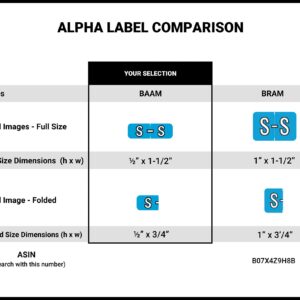 Doctor Stuff - File Folder Labels, Alphabet Letter S, Barkley FABAM - BAAM Series Compatible Alpha Stickers, Blue, 1/2" x 1-1/2", 500/Roll