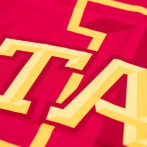 College Flags & Banners Co. Iowa State Cyclones Logo Tablecloth or Table Overlay