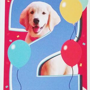 Greeting Card Happy 2nd Birthday with Golden Labrador Retriever Dog - Two Years Old