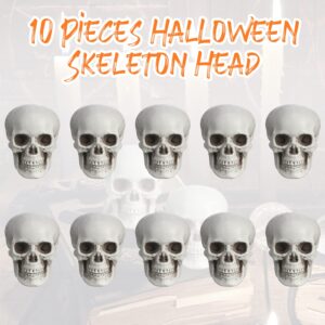 Boao 10 Pieces Halloween Skeleton Head Small Mini Skulls for Halloween Party, Halloween Decor Props, Table Decor