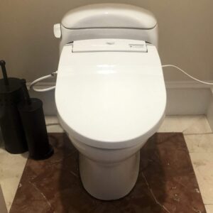 Cascade 3000 Bidet Seat (White, Elongated, Large Remote)