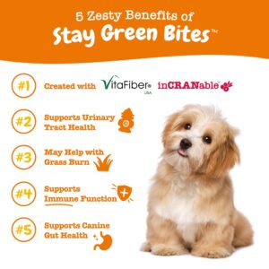 Zesty Paws Stay Green Bites for Dogs - Grass Burn Soft Chews for Lawn Spots Caused by Dog Urine - with Cranberry for Urinary Tract & Bladder - Beef - 90 Count