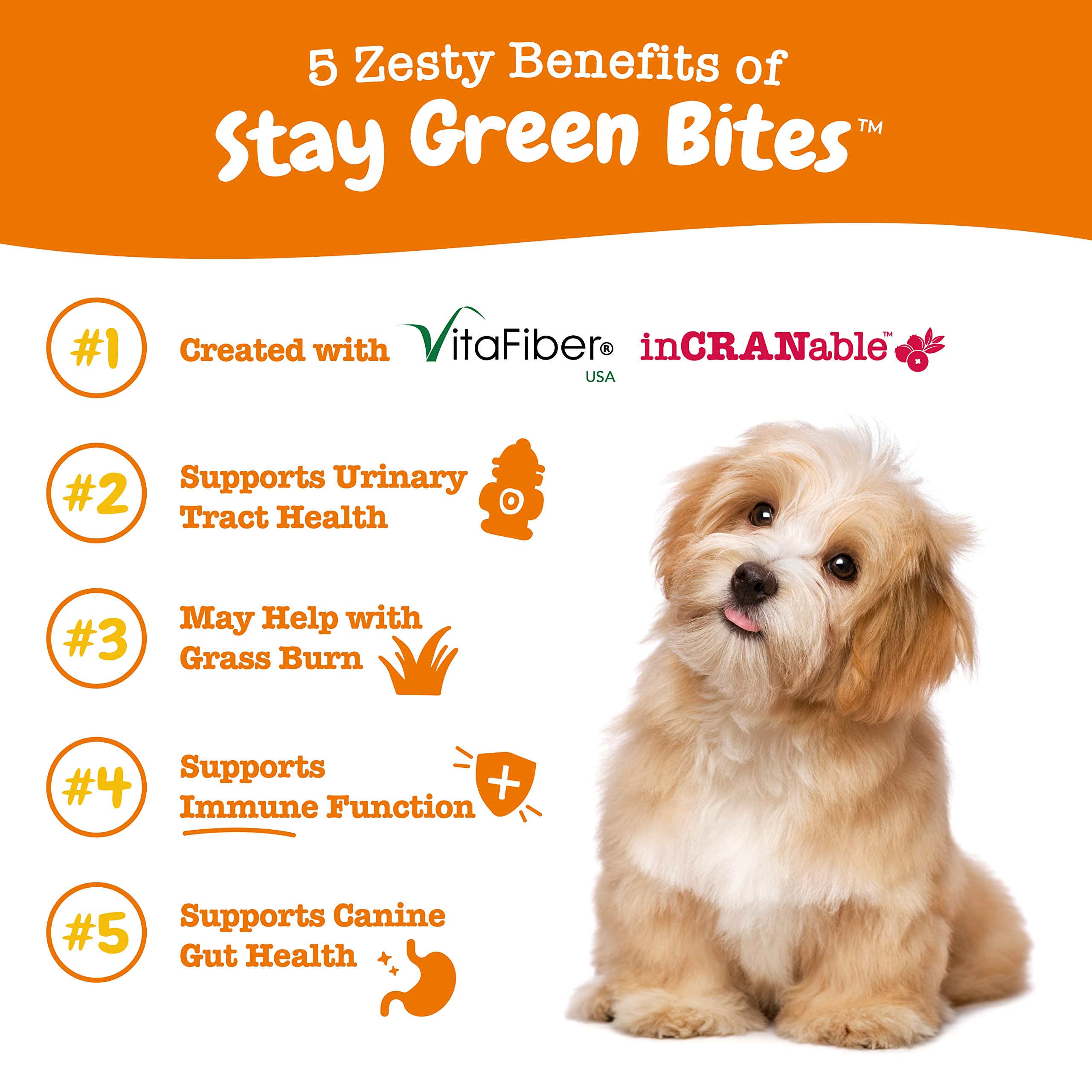 Zesty Paws Stay Green Bites for Dogs - Grass Burn Soft Chews for Lawn Spots Caused by Dog Urine - with Cranberry for Urinary Tract & Bladder - Beef - 90 Count