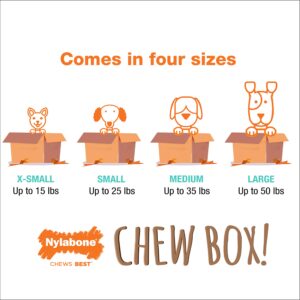 Nylabone Chew Toy Dog Surprise Box Variety Small/Regular (1 Count)