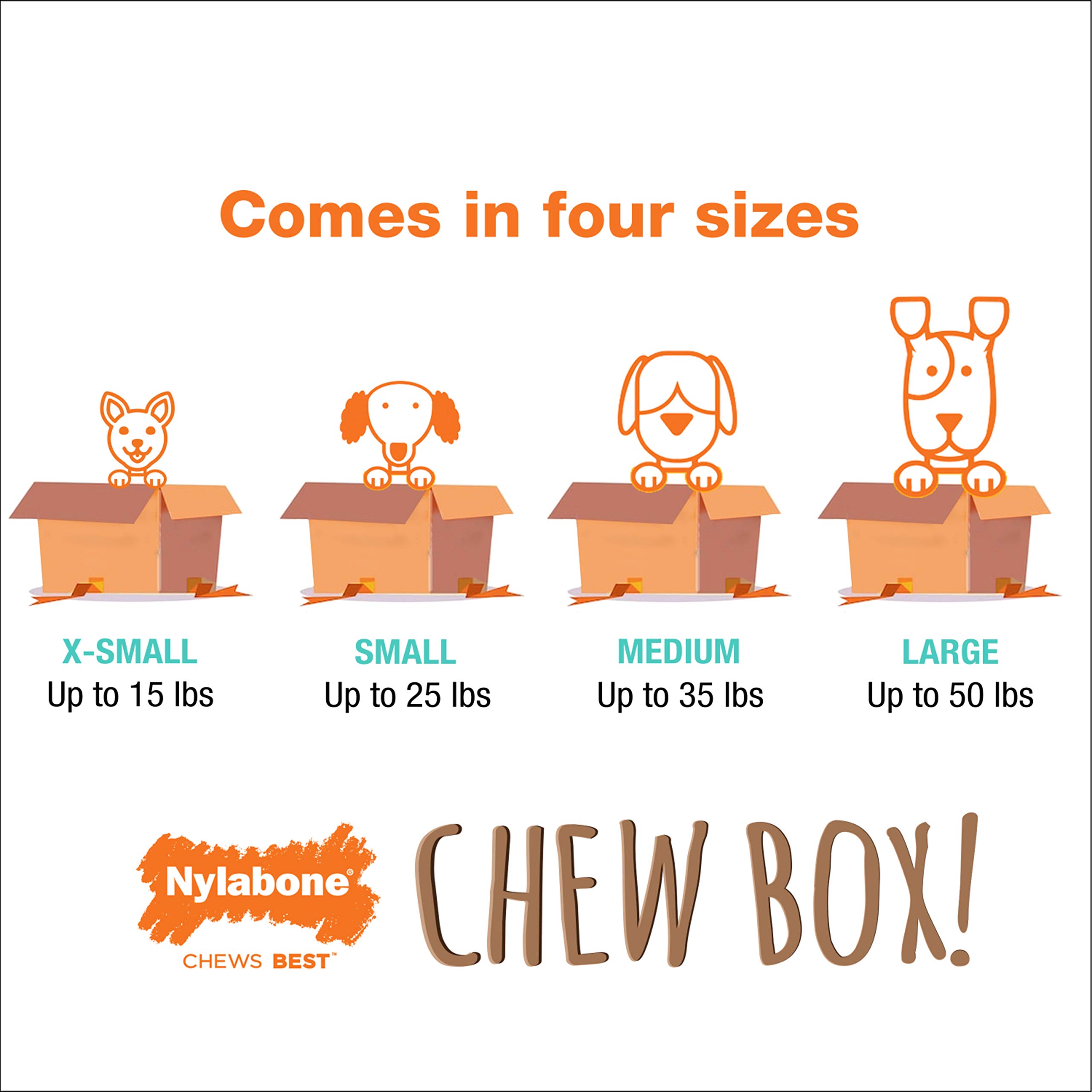 Nylabone Chew Toy Dog Surprise Box Variety Small/Regular (1 Count)