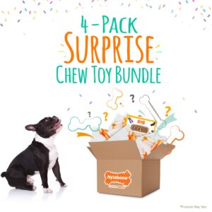 nylabone chew toy dog surprise box variety small/regular (1 count)