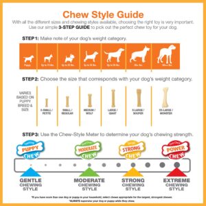 Nylabone Chew Toy Dog Surprise Box Variety Small/Regular (1 Count)