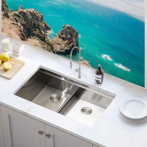 KABCO 32 Inch Workstation Kitchen Sink Stainless Steel Undermount Double Bowl Zero Radius Sound and Heatproof Ledge Design Sink 32" X 19" X 10"