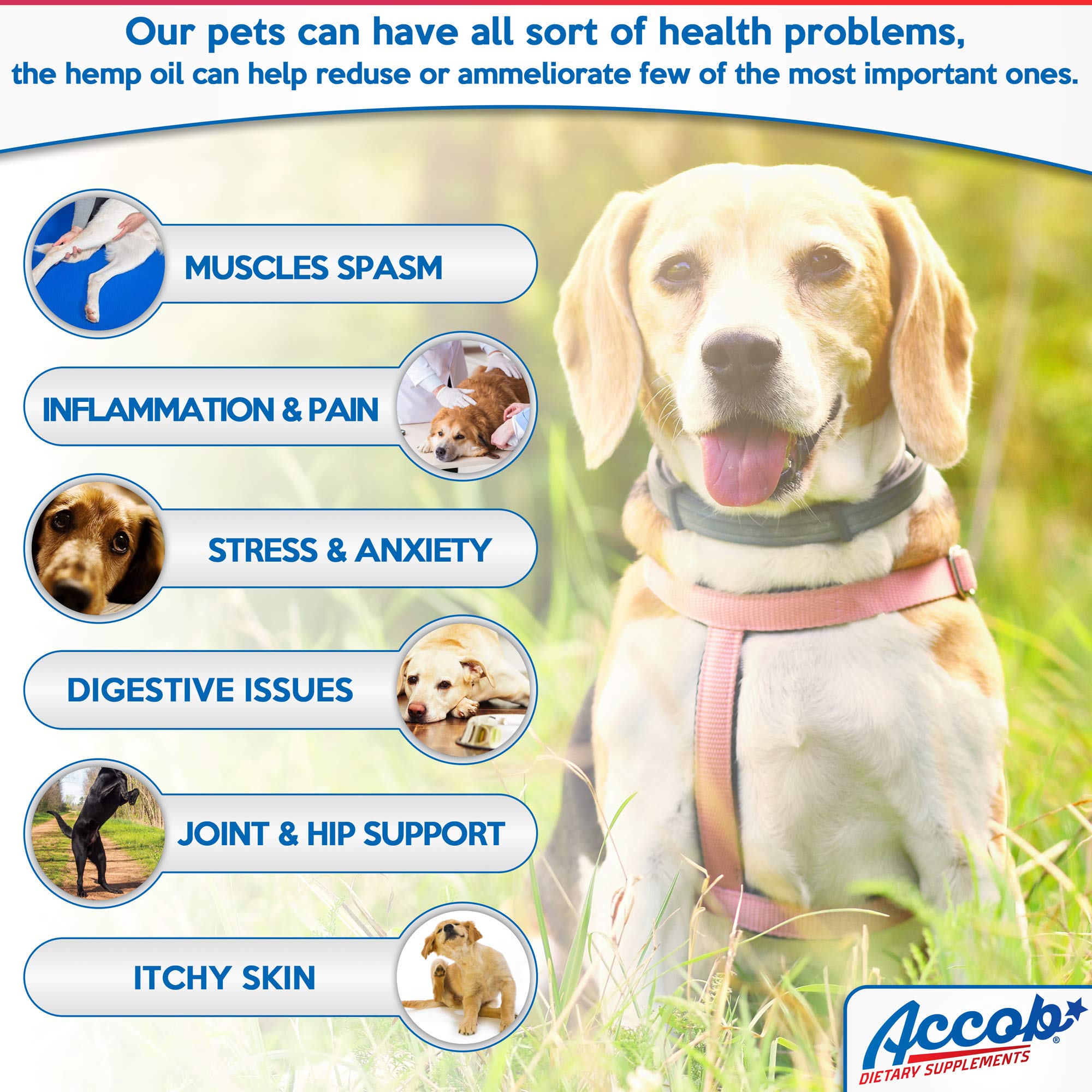 Accob - 2 Hemp Oil for Dogs and Cats - 200.000 MG - Hip Joint Pain, Stress Relief, Arthritis,Seizures, Chronic Pains,Anti-Inflammatory - Omega 3,6 & 9 - Organic- Calming Drops