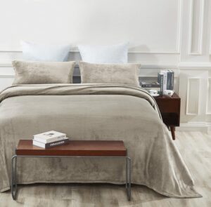 cozy fleece flannel plush sheets queen size 4 piece bedding set, warm fleece sheets with deep pockets 17 inches- ultra soft and cozy, taupe