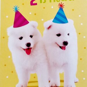 Greeting Card Happy 2nd Birthday with American Eskimo Puppy Dogs - Special Wishes Twice - Two Years Old