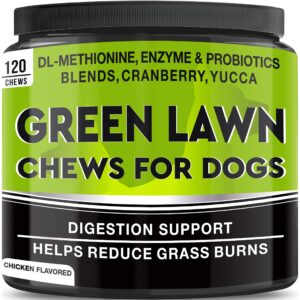 goodgrowlies grass treats for dogs - dog pee lawn repair - grass burn spots caused by dog urine - grass rocks with probiotics + digestive enzymes, cranberry - made in usa - 120 soft chews