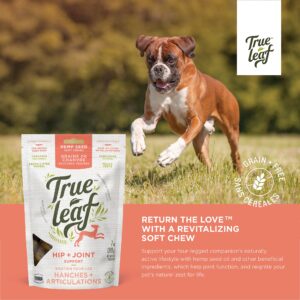 True Leaf Pet Hemp Hip + Joint Chews 200g (77003)