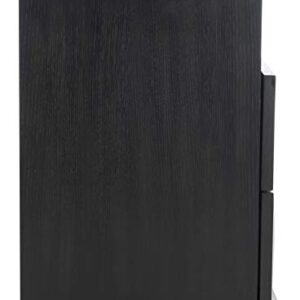 Safavieh Couture Home Patty Modern Black 2-drawer Nightstand