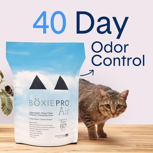 Boxie® Probiotic 40 Day Natural Odor Control Cat Litter, 11.5lb Lightweight Plant Based Kitty Litter