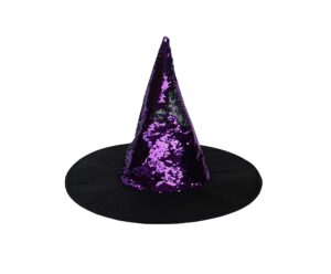 hooin halloween reversible sequin witch hat. reversible sequin costume party hat. (purple & silver)