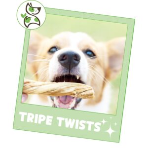 Nature Gnaws Tripe Twists for Dogs 4-5" (20 Count) - Crunchy Grain Free Reward Snack for Small, Medium & Large Breeds - Natural Beef Dog Chew Treats - Rawhide Free