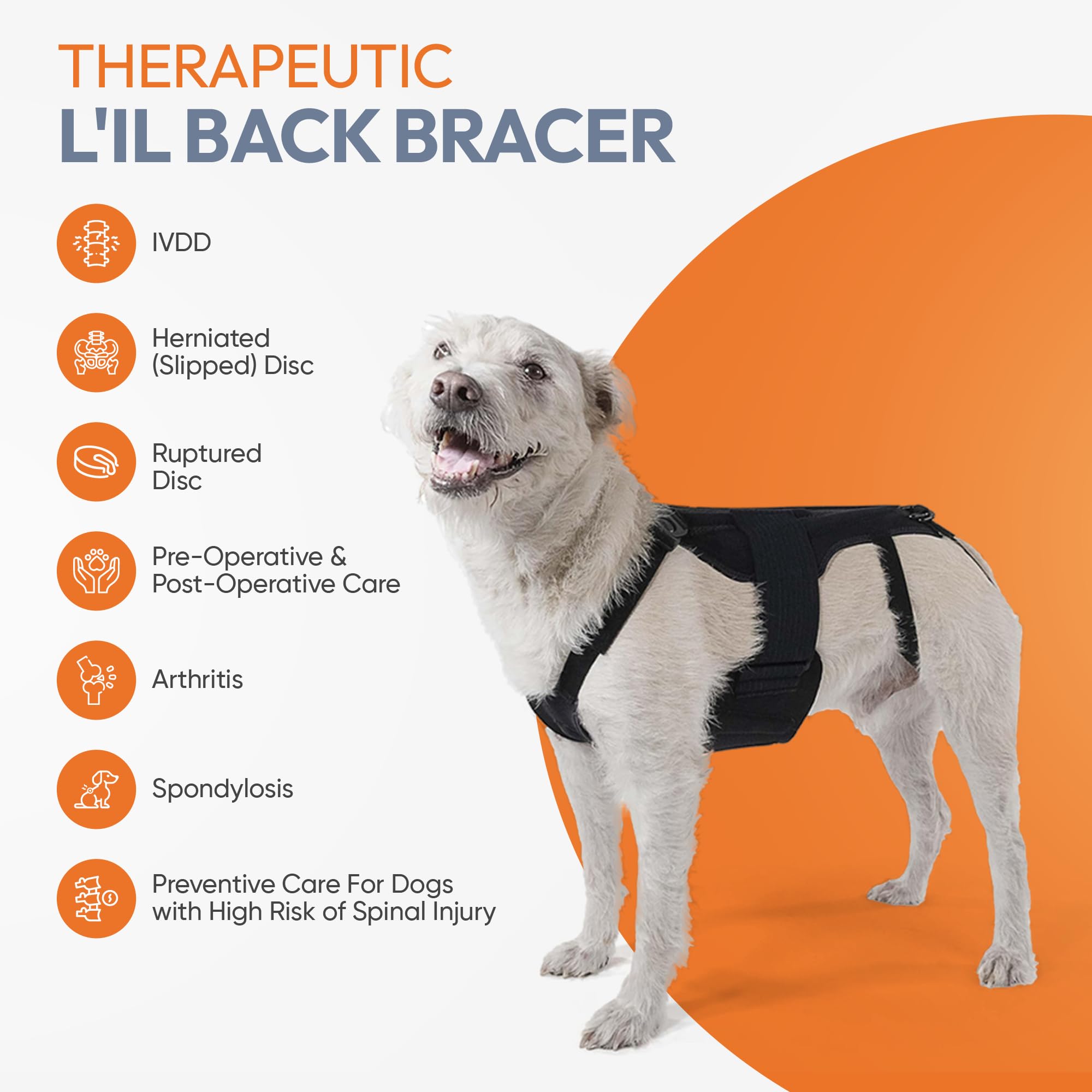 Dog Back Brace for IVDD - Orthopedic Support Back Brace for Dogs - Herniated & Slipped Disc, Pre & Post-Surgical Spinal Support - Made in USA