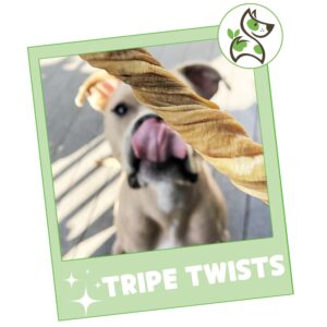 Nature Gnaws Tripe Twists for Dogs 4-5" (20 Count) - Crunchy Grain Free Reward Snack for Small, Medium & Large Breeds - Natural Beef Dog Chew Treats - Rawhide Free