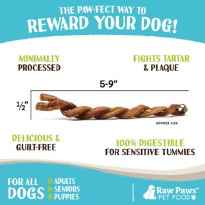 Raw Paws Lamb Pizzle Twists for Dogs, 5-9" (10 Pack) - USA Packed Natural Lamb Pizzle Sticks - Free-Range, Digestible Lamb Bully Sticks - Grain-Free Lamb Twist Dog Chew Sticks - Lamb Dog Treats