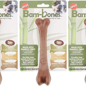 Bambone Bone