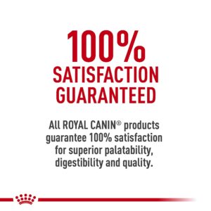 Royal Canin Small Adult Wet Dog Food, 3 oz can (12-count)