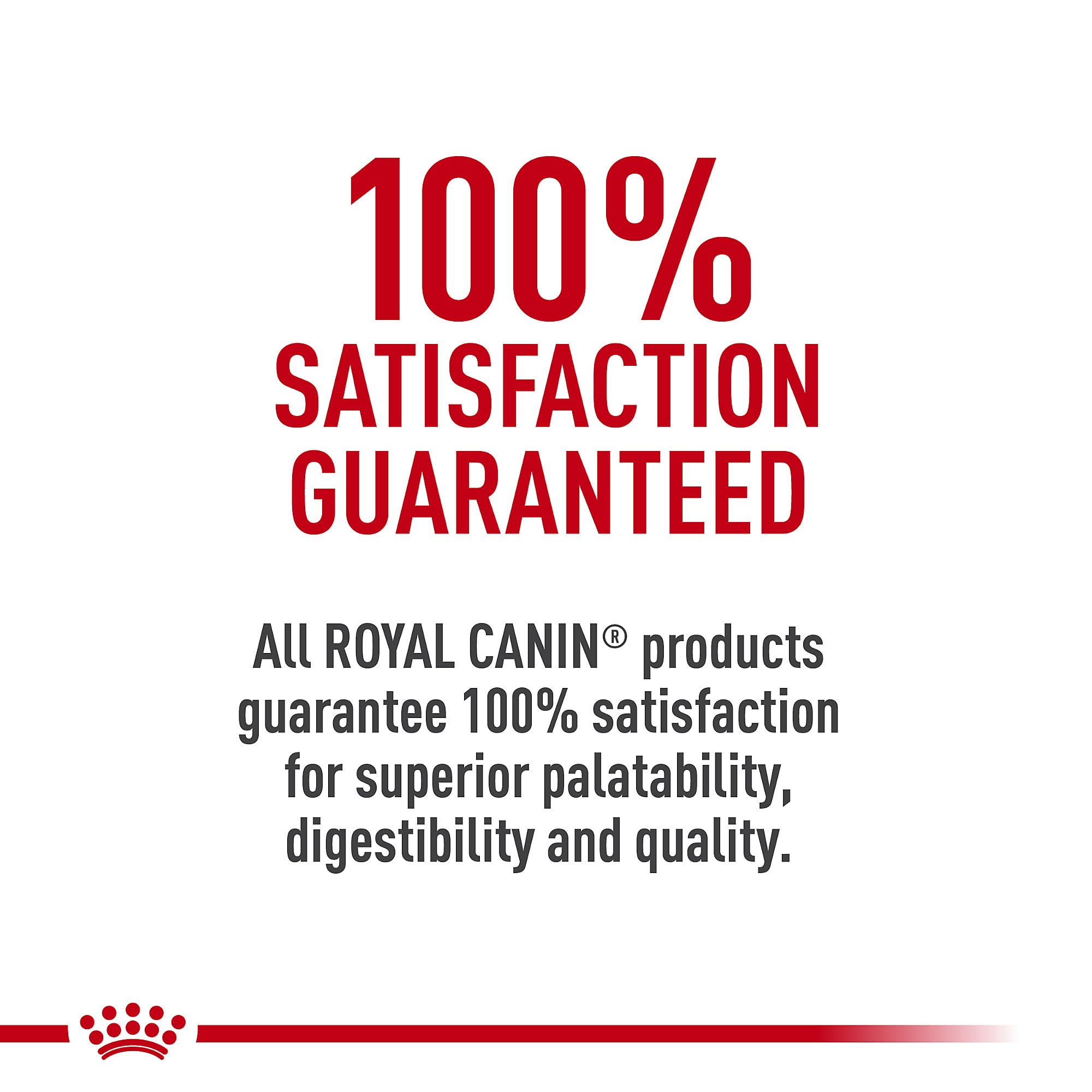 Royal Canin Small Adult Wet Dog Food, 3 oz can (12-count)