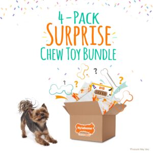 nylabone chew toy dog surprise box variety x-small/petite (1 count) all breed sizes